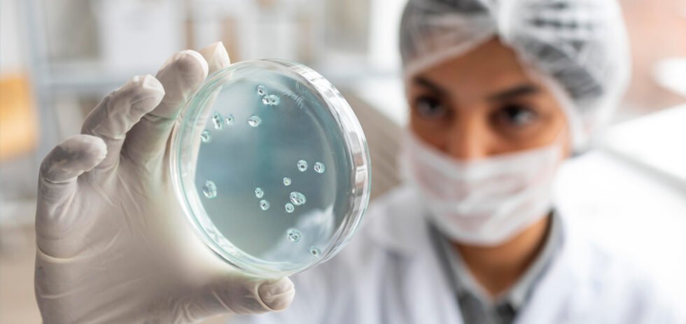 Bachelor of Science (B.Sc.) in Microbiology | EWCS Bachelor of Science (B.Sc.) in Microbiology | EWCS